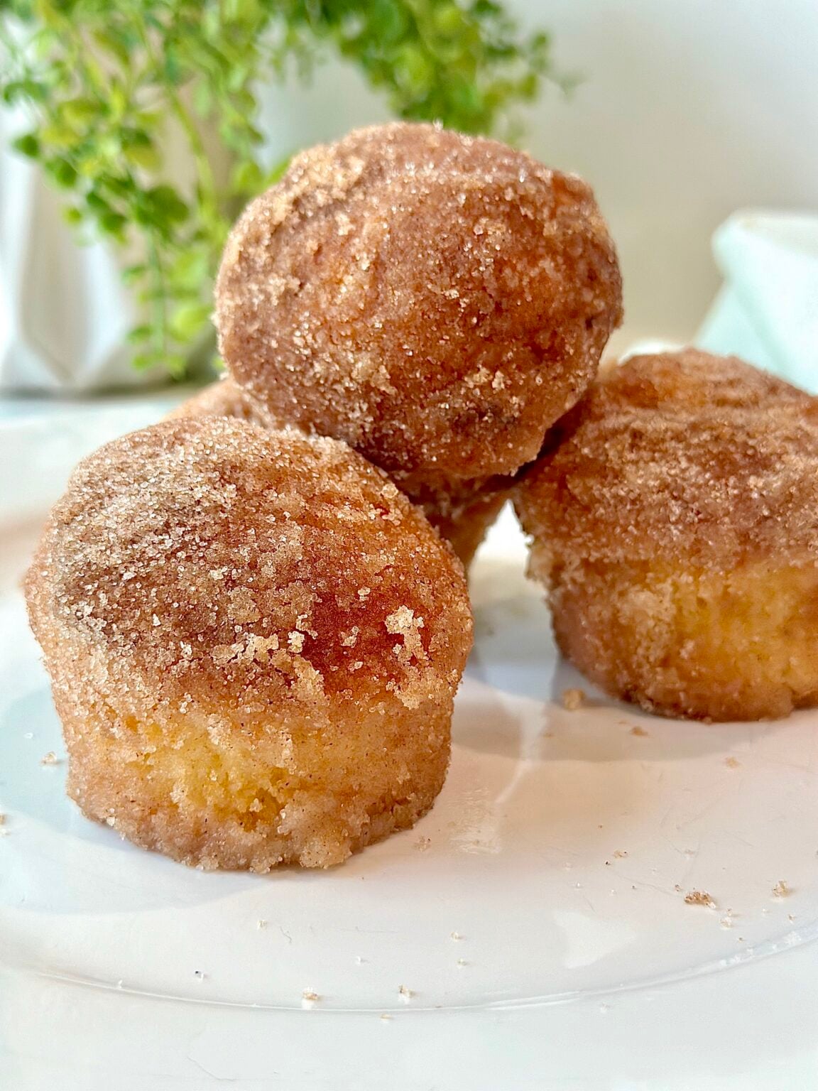 French Puffs (Cinnamon & Sugar Donut Muffins)