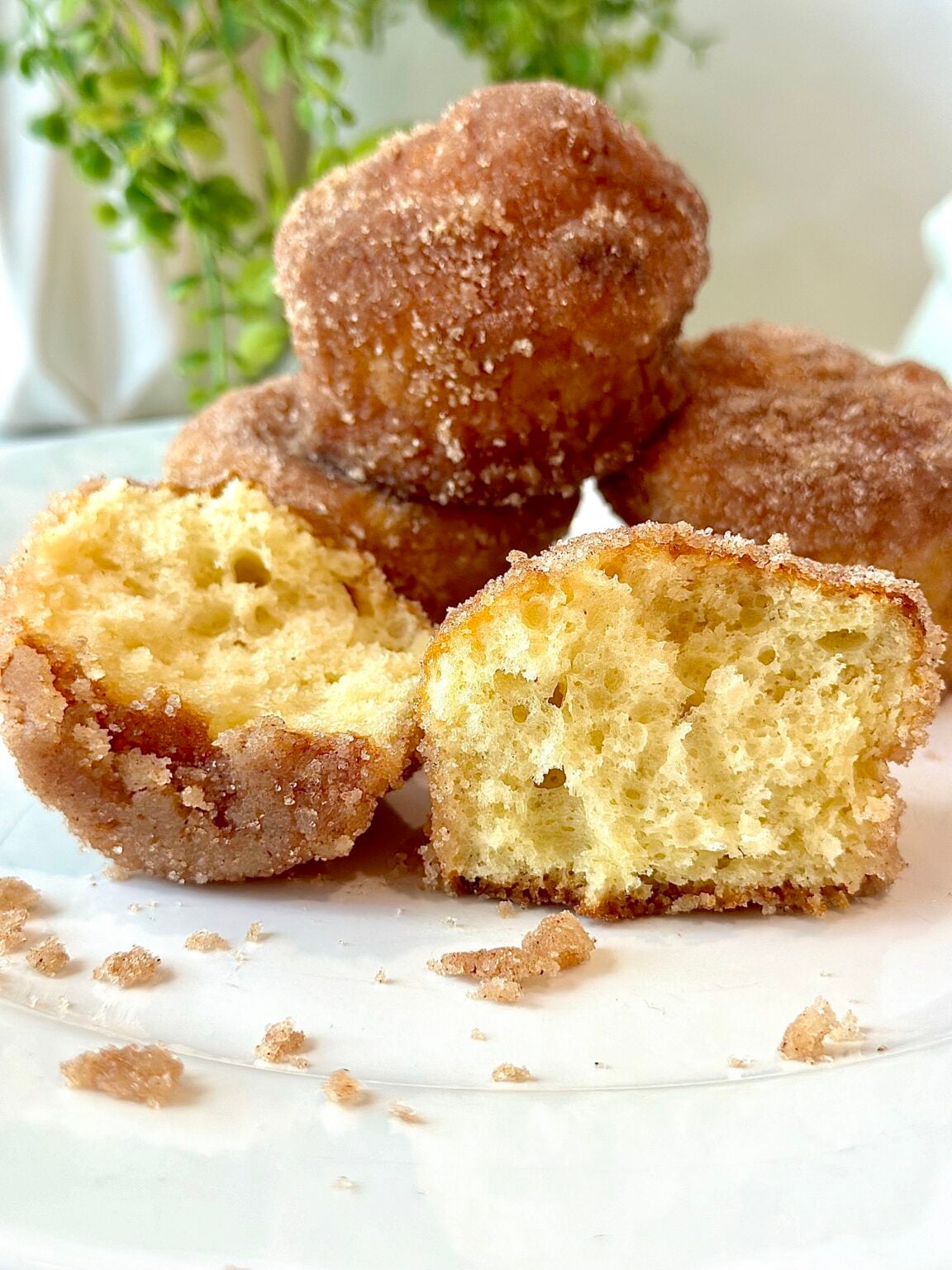 French Puffs (Cinnamon & Sugar Donut Muffins)