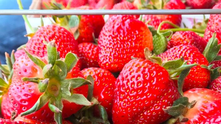 Simple Strawberry Shortcake Recipe with Fresh Cream